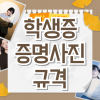 학생증 증명사진 규격 이렇게 알아보자 네이버 블로그